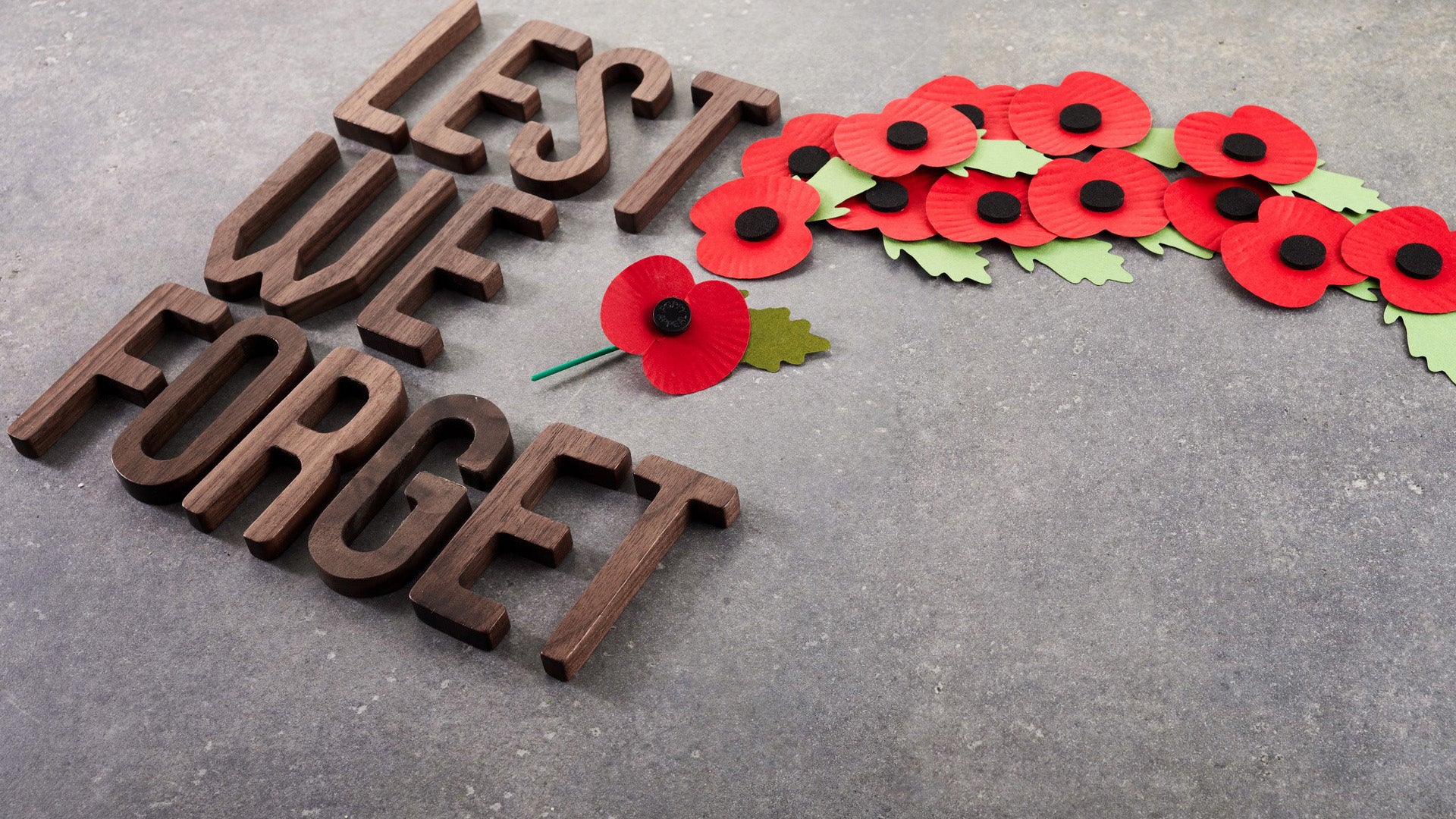 Lest We Forget: Why the Red Poppy Became the Symbol for Remembrance Da ...